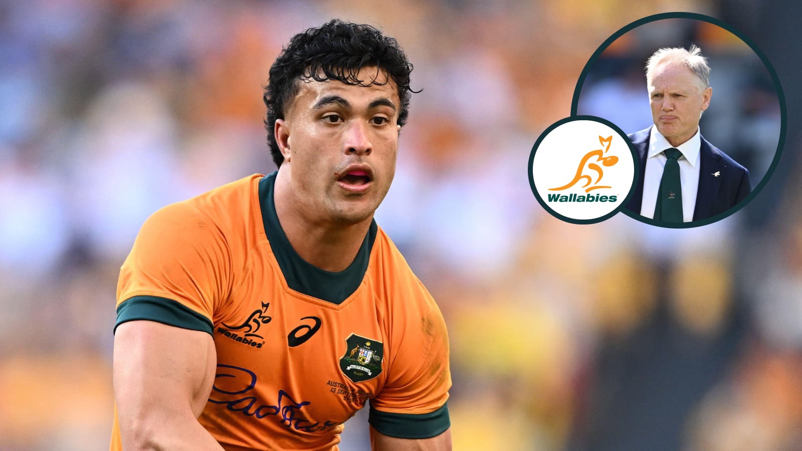 Ex-Wallaby calls on Joe Schmidt to make 'controversial pick' at outside ...