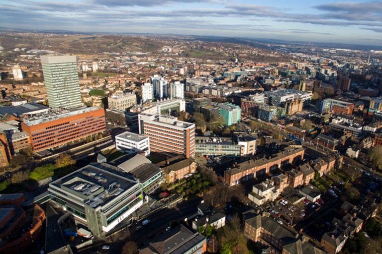 Sheffield City councillors elected to every ward in local elections ...