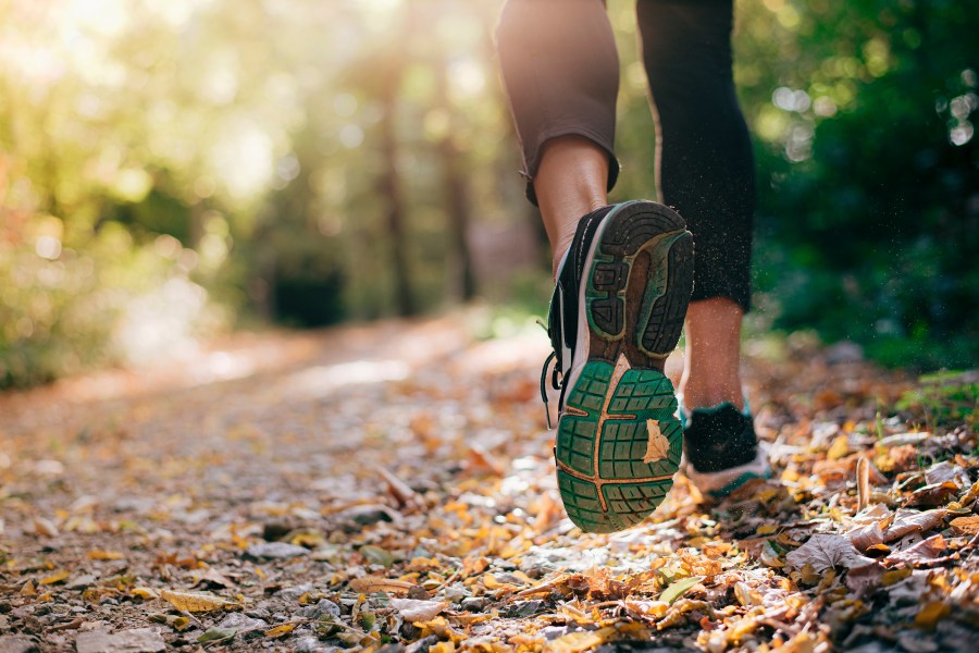 West Virginia Trail Fest to take place in Pocahontas County over ...