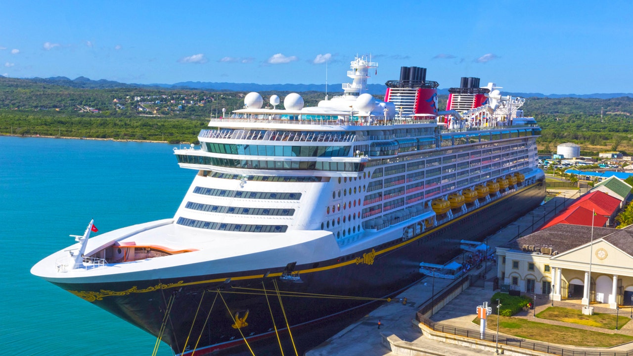 Disney cruise workers busted in child porn sting, hauled off ships for ...