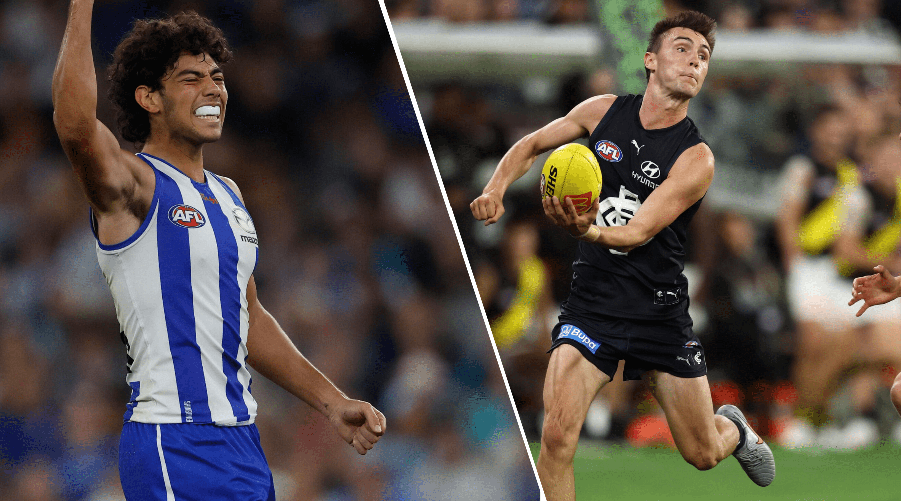 Top 10 rising star contenders rated