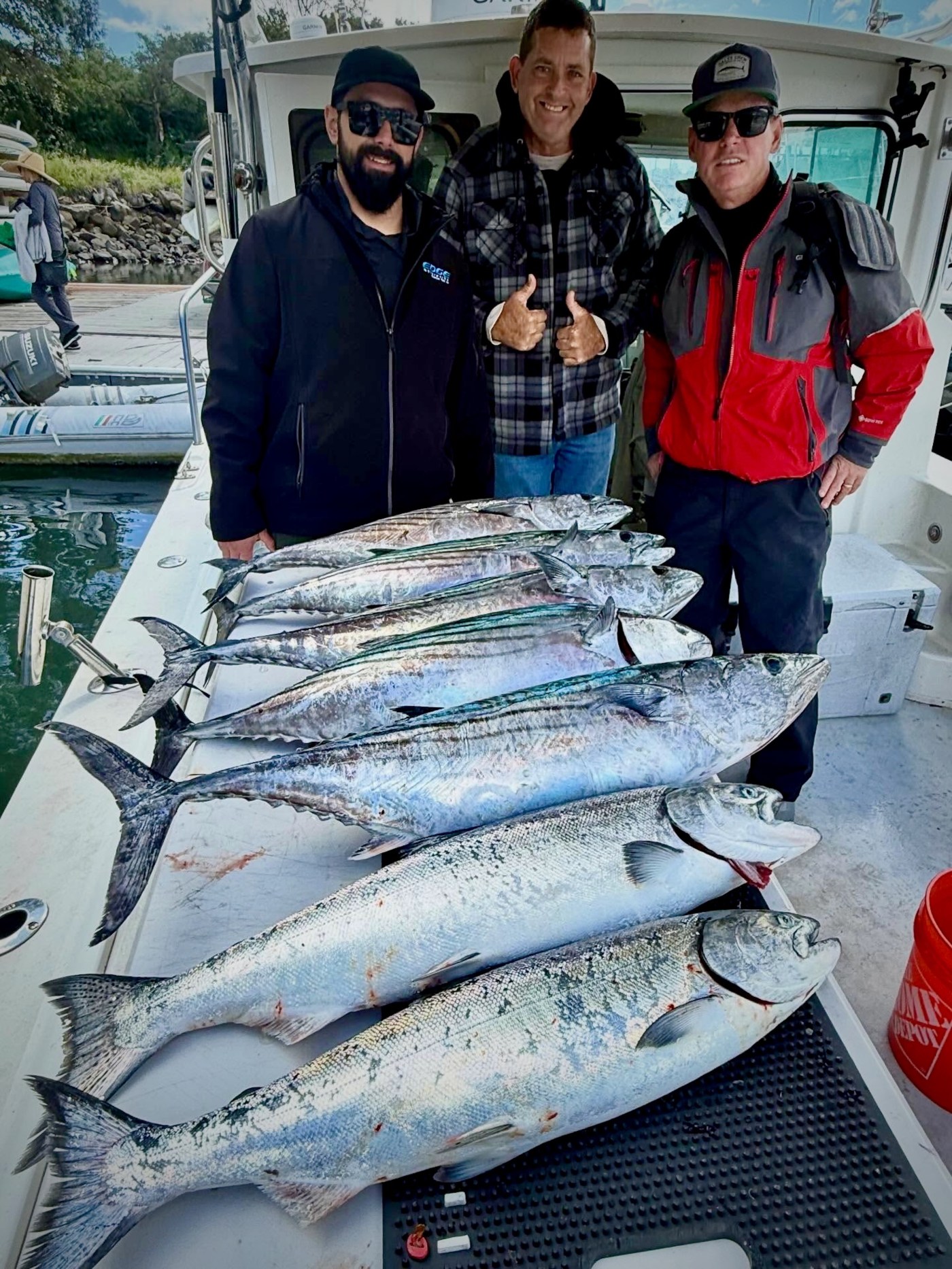 Salmon scene improving; speedy bonito also an option | Fish Rap