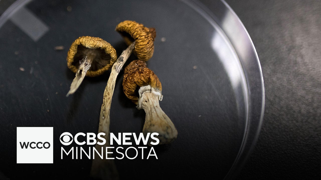 Push for psychedelic mushroom pilot program at Minnesota State Capitol