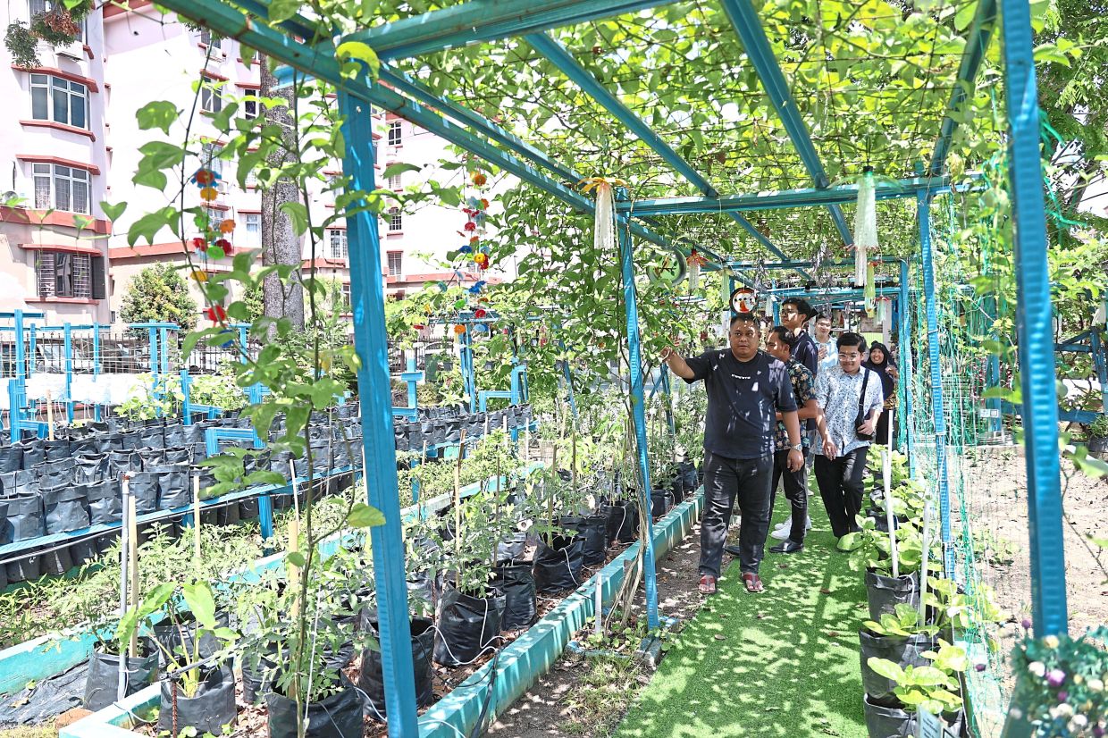 Garden roots deepen in USJ14