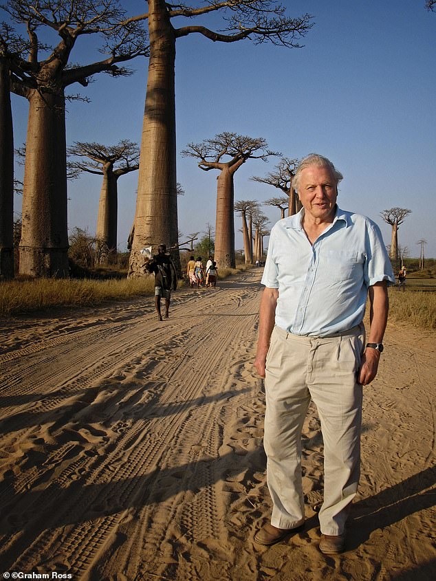 How to travel like David Attenborough - from Madagascan safaris to ...