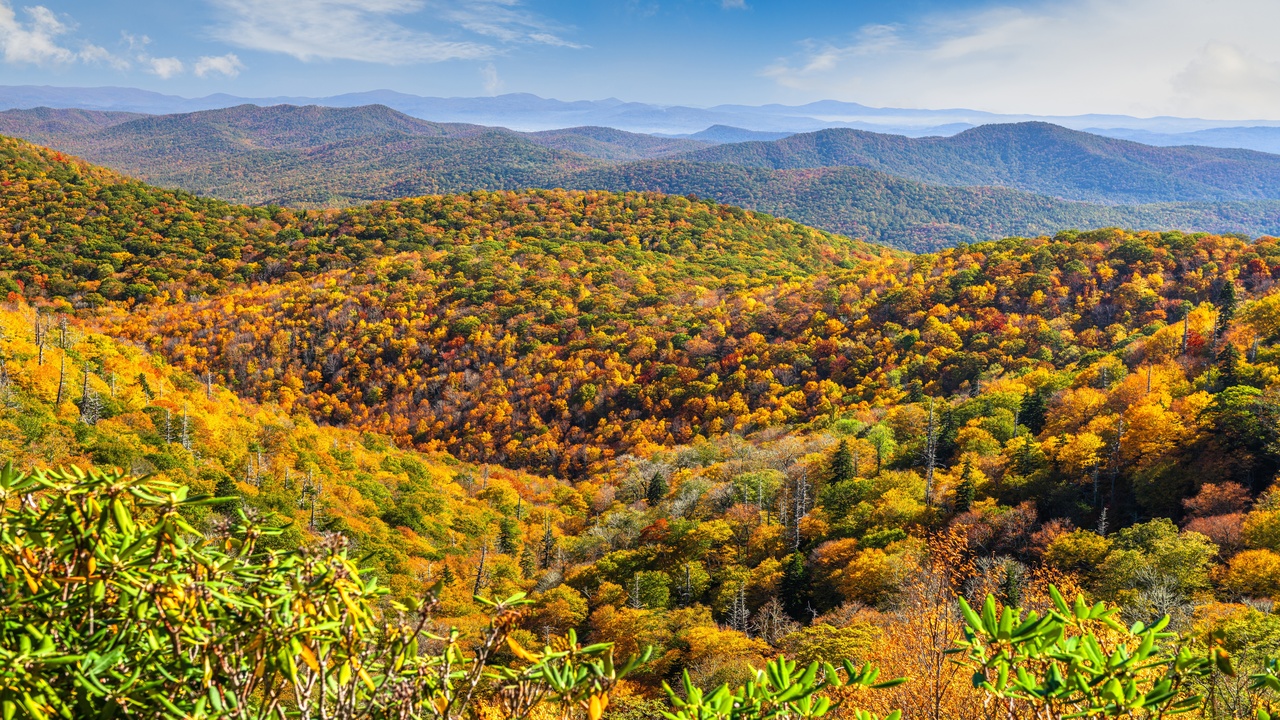 North Carolina’s largest national forest has a waterfall around every ...