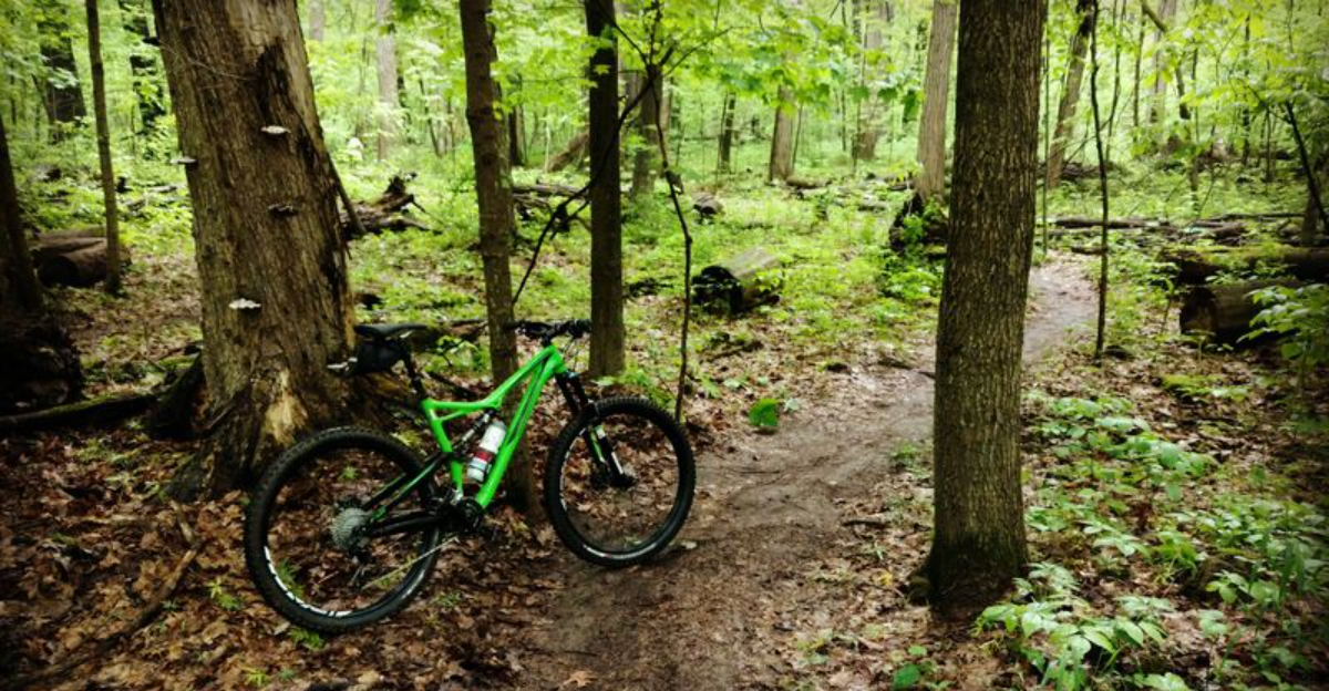 This high-speed Indiana forest features a technical jump park and ...