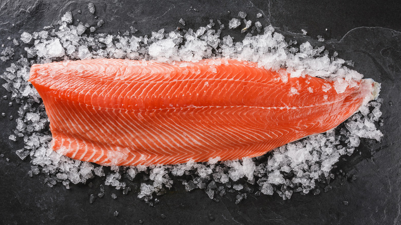 11 mistakes everyone makes when cooking salmon