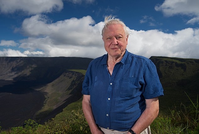 How to travel like David Attenborough - from Madagascan safaris to ...