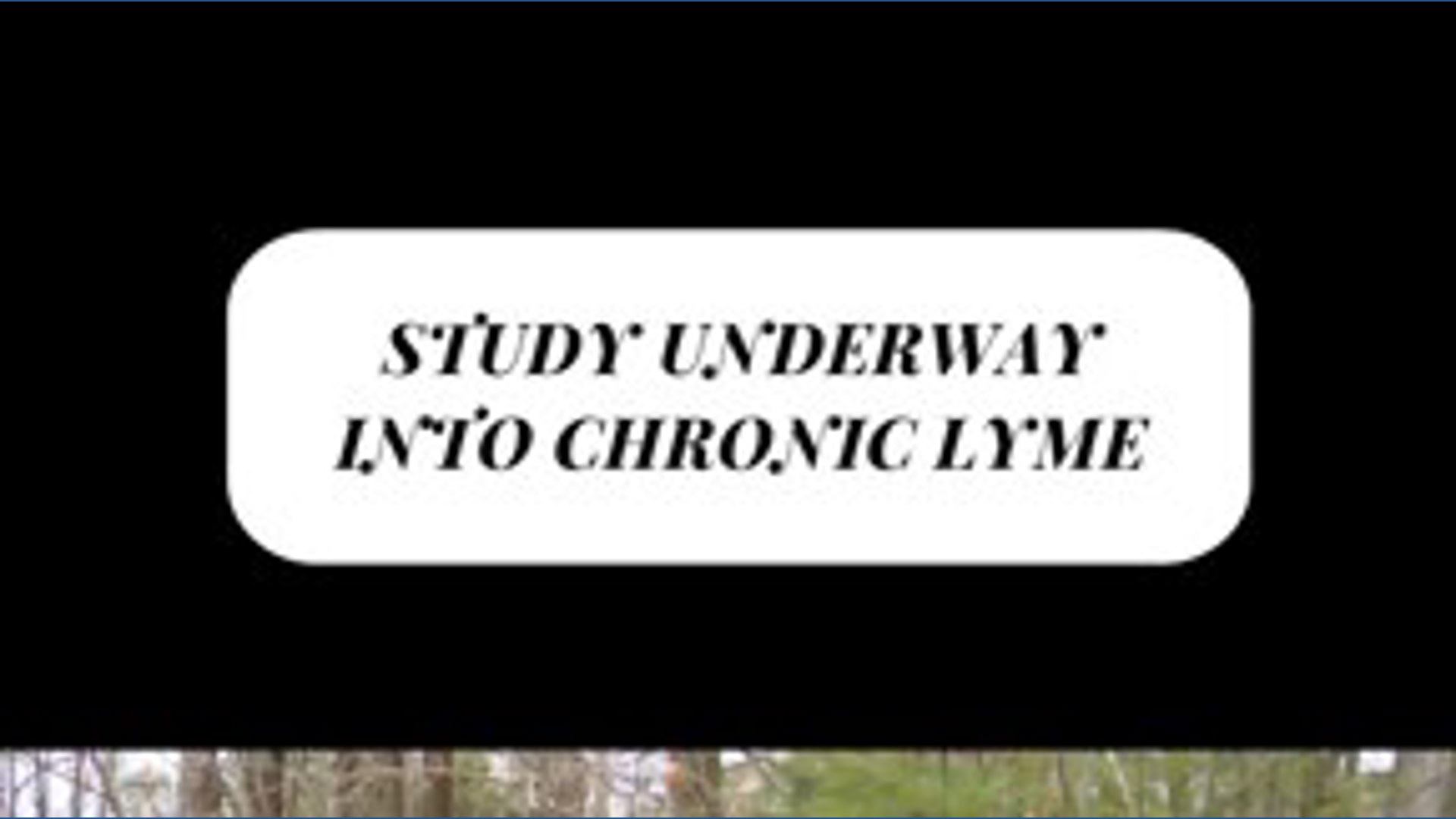 Study underway into chronic Lyme disease