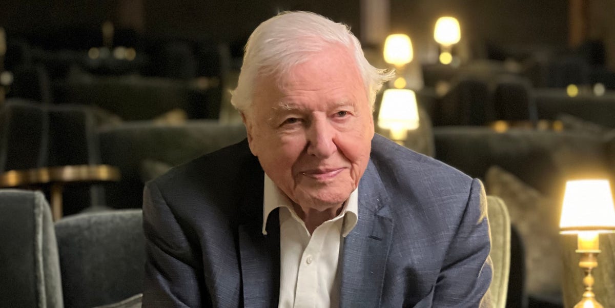 Sir David Attenborough "overwhelmed" ahead of 100th birthday as he ...