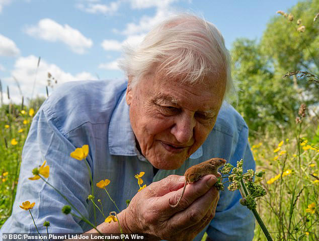 The very busy British postman delivering crates of David Attenborough's ...