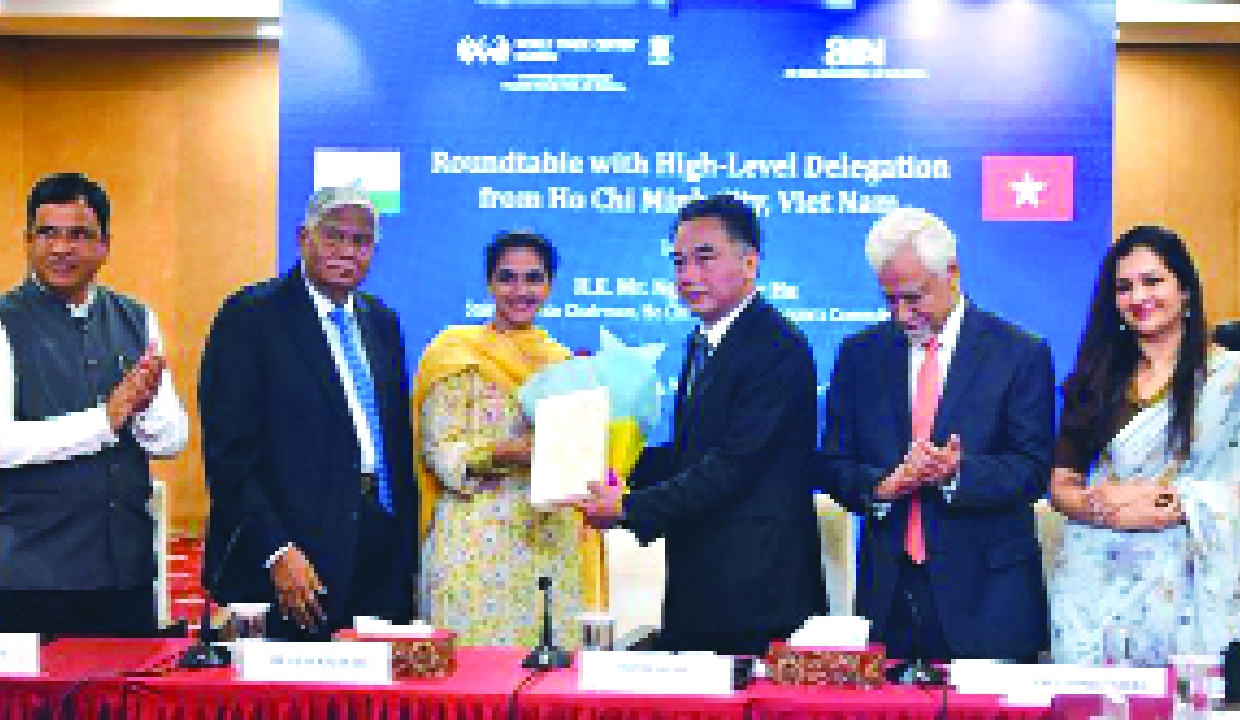 Vietnam lays thrust on innovation, urban connectivity and megacity ...