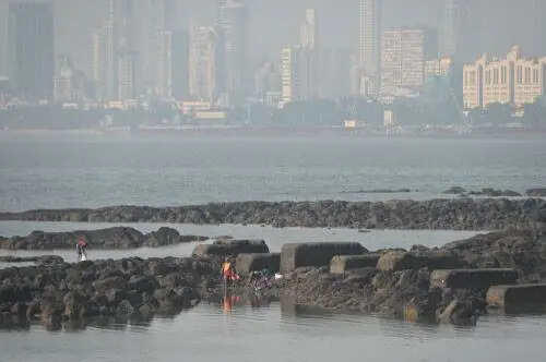 No ban on cutting fish at Vakola market, says Mumbai mayor
