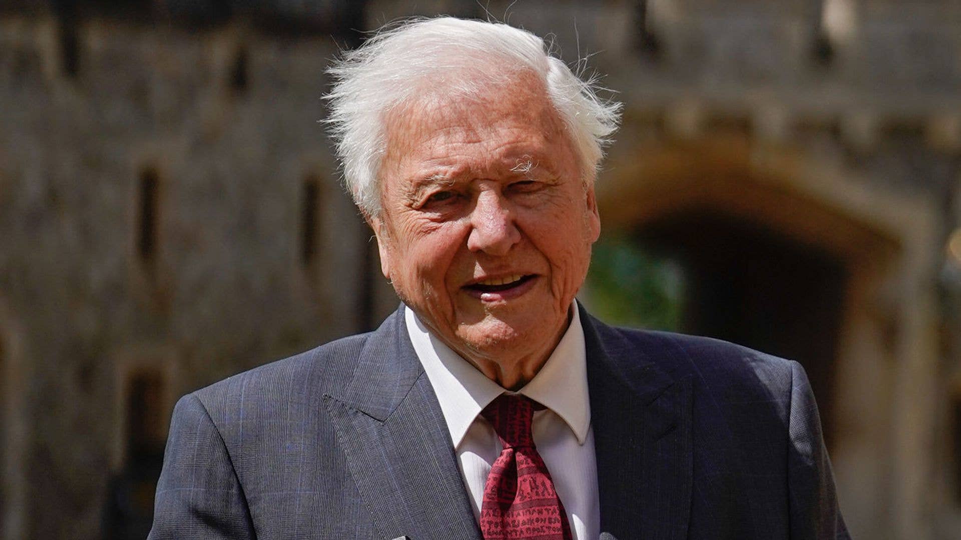 Meet David Attenborough's famous family of actors – including Jurassic ...