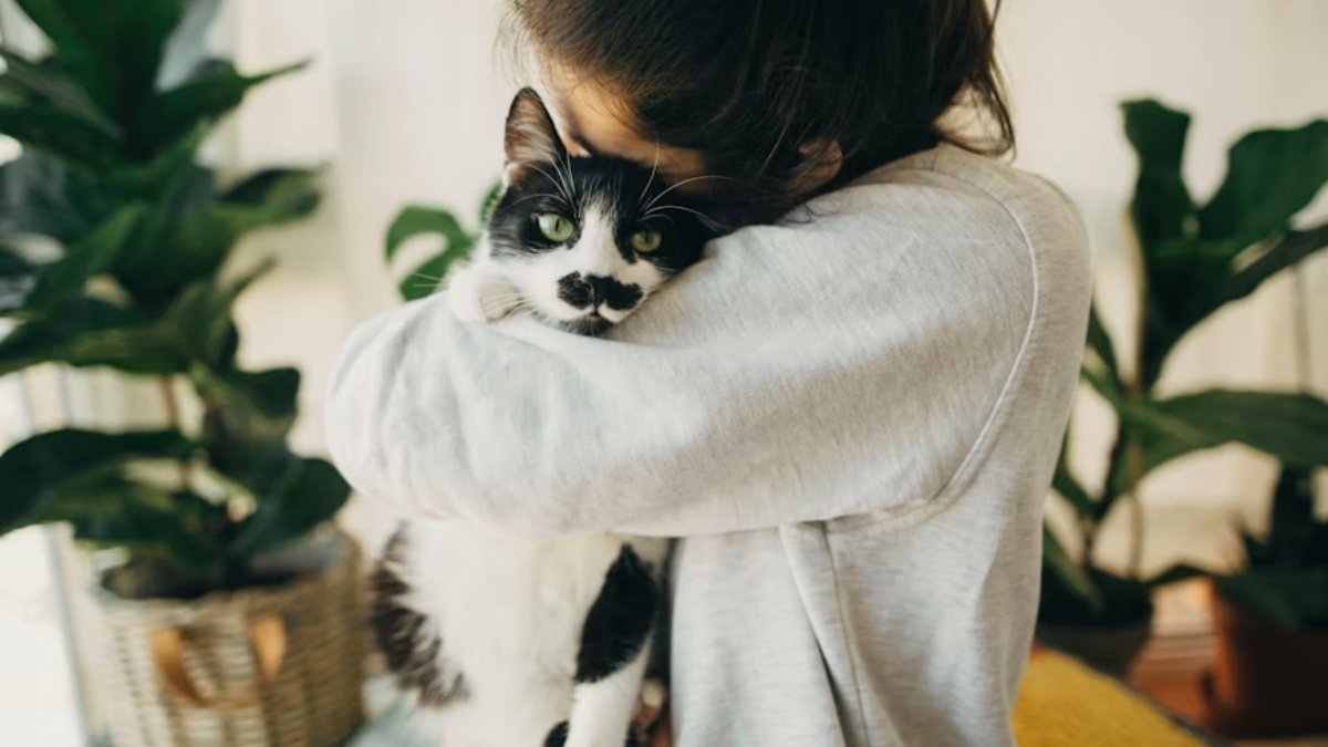 10 things that change when you adopt a cat and you used to own a dog