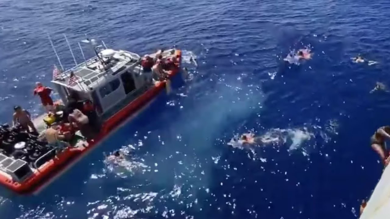 Coast Guard opens fire during shark scare off Hawaii
