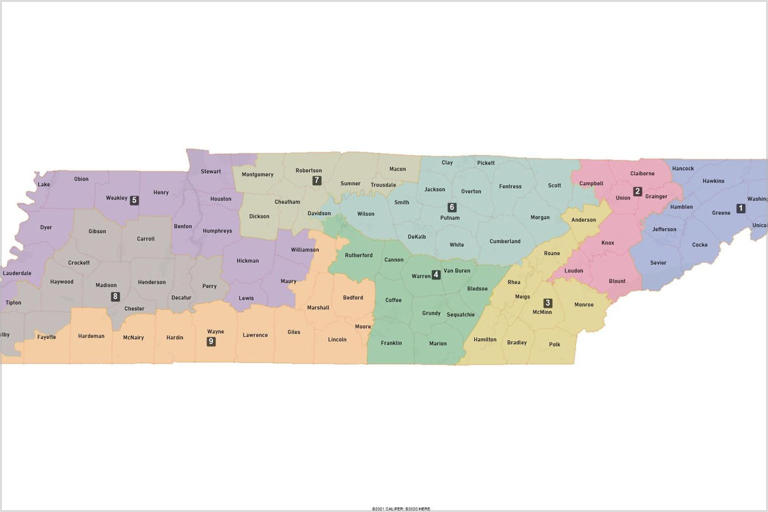 Tennessee House passes new congressional map eliminating Democrat district