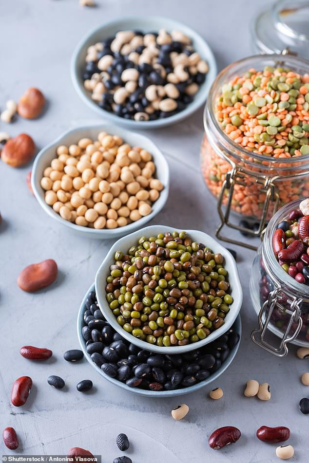 Diet rich in beans, lentils, chickpeas and soy cuts risk of high blood ...
