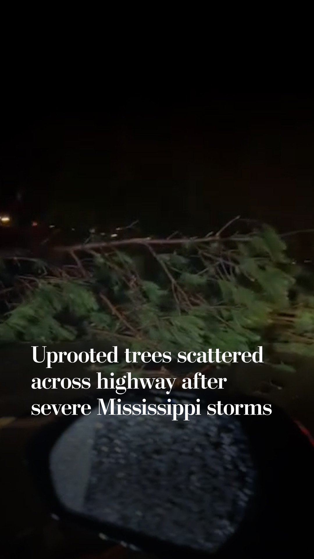 Trees scattered across road after severe Mississippi storms