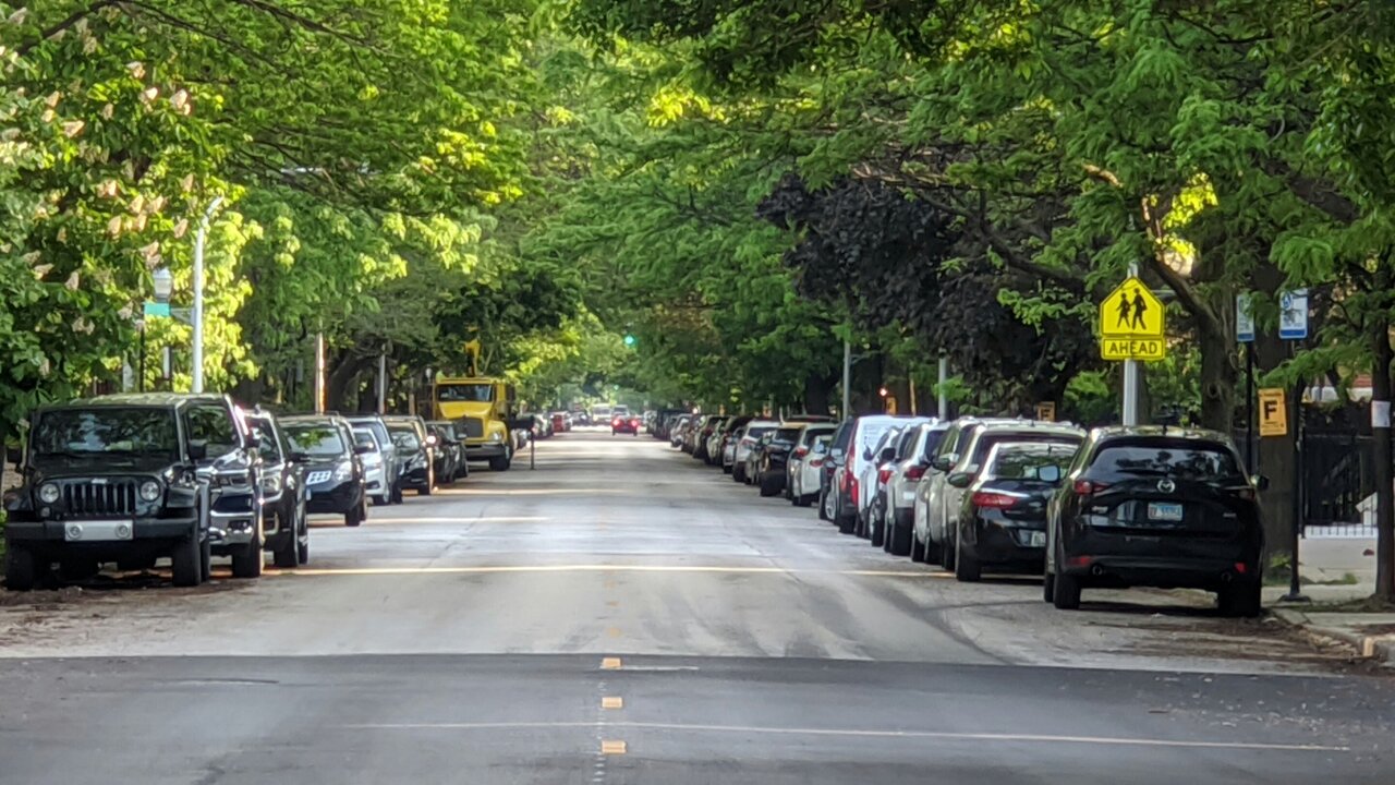 Trees improve health, but not for everyone, study finds