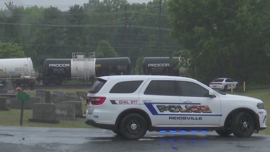 Pedestrian dead after being struck by train in Reidsville, police say