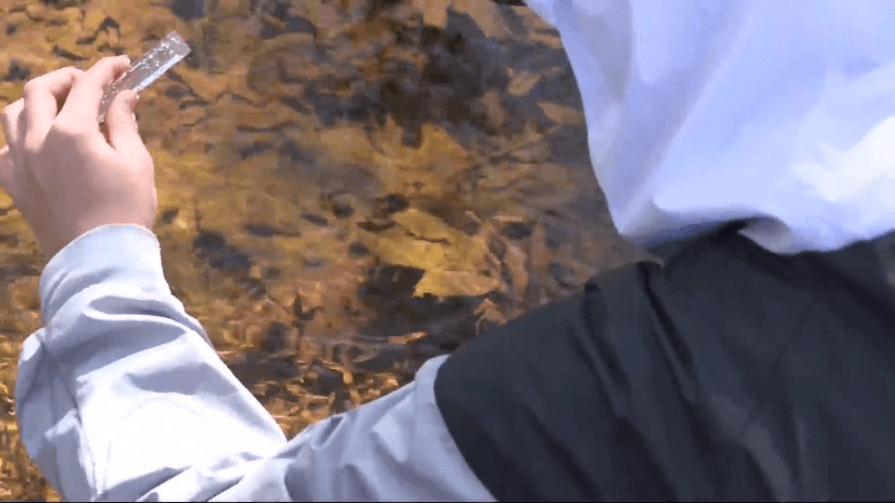P-O Middle School field trip turns into stream science lesson on ...