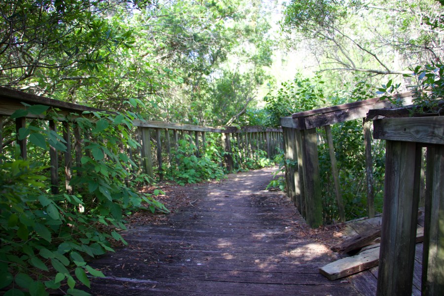 Northeast Creek Park set for major restoration project