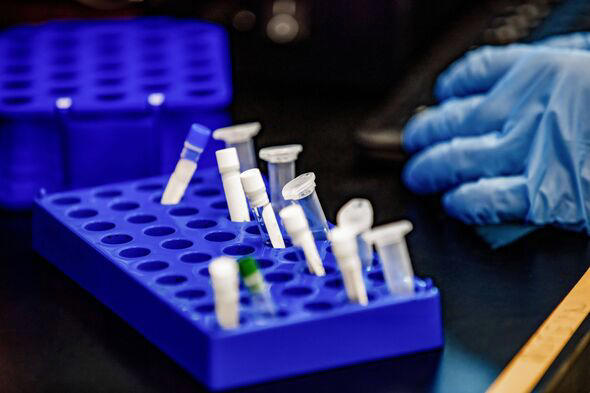 Hantavirus bombshell as 2 vials of deadly rat virus vanished from ...