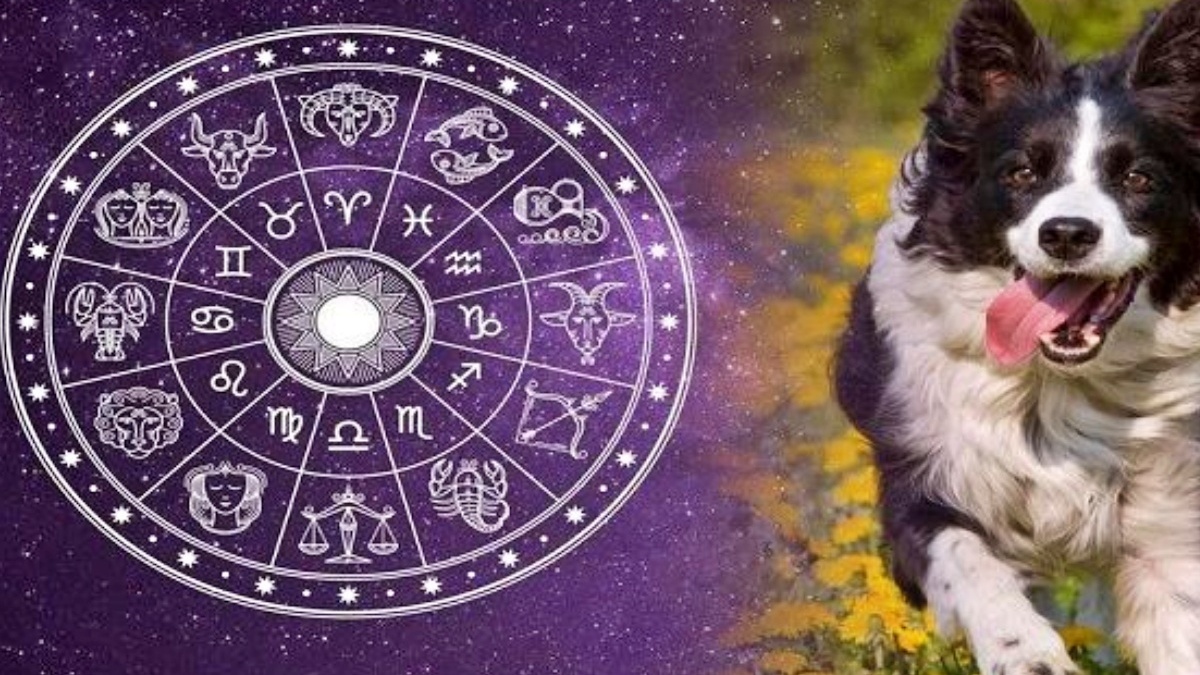 Which dog breed matches you best based on your birth month, according ...
