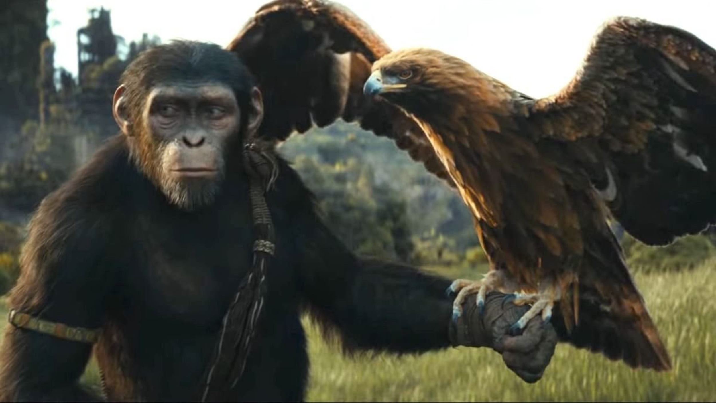Matt Shakman directing a new 'Planet of the Apes' film