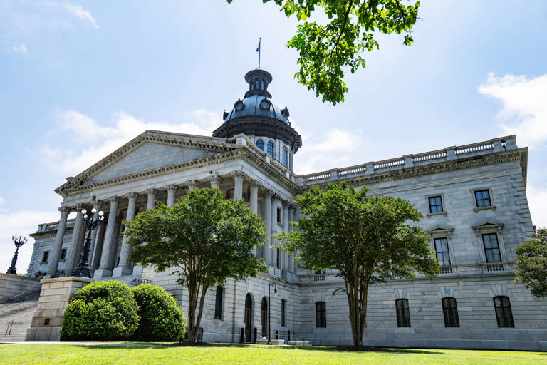 South Carolina lawmakers propose new district lines, update on lost ...