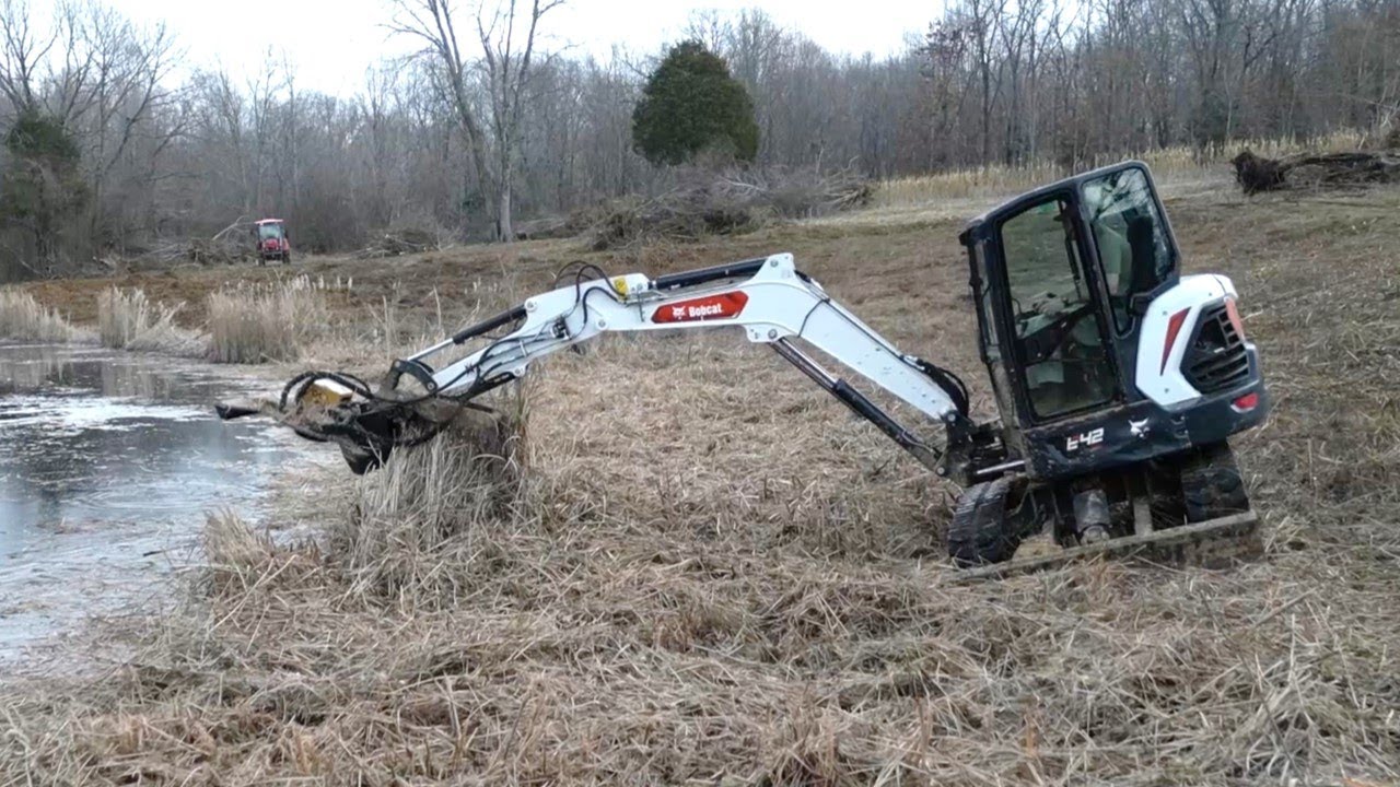 Pond restoration project turns into a stunning transformation