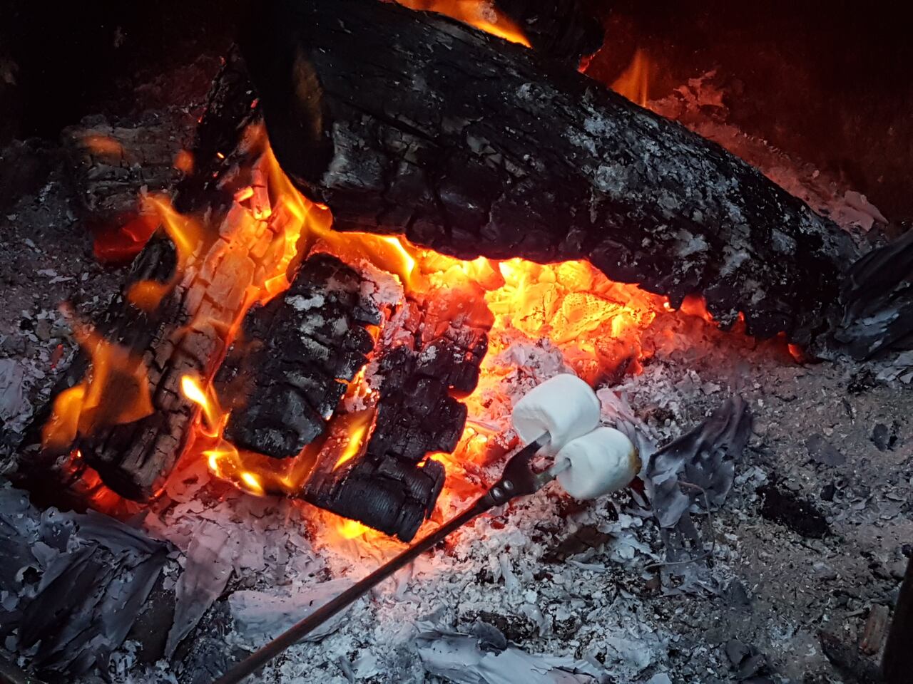 Campfires now banned across BC.'s South Coast as fire danger remains ...