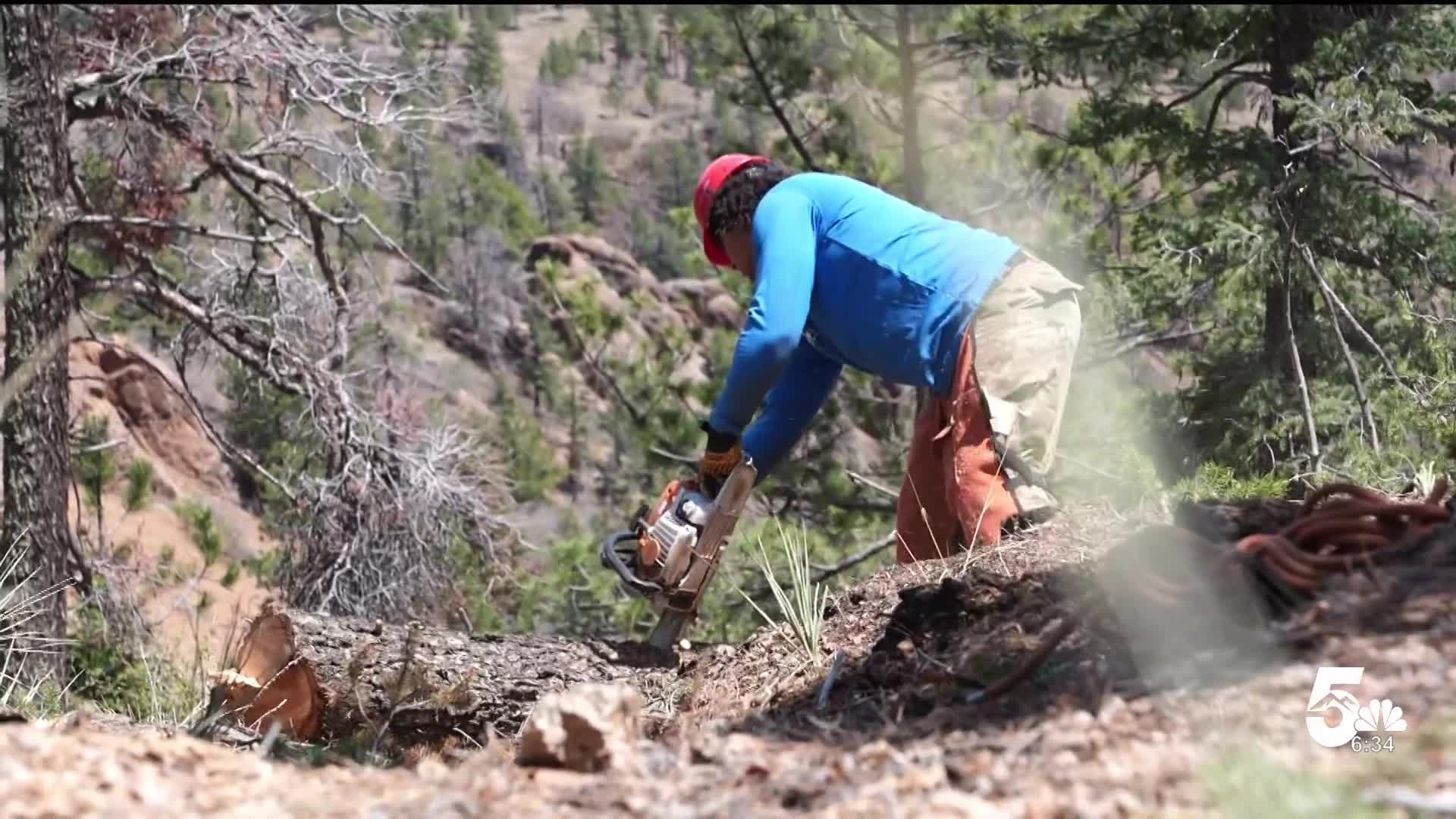 Colorado Springs Fire Department conducting wildfire mitigation on the ...
