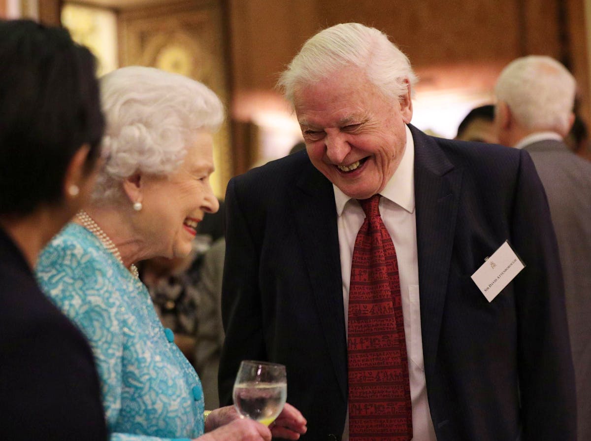 100 Jahre David Attenborough: 10 Fakten zur Doku-Legende