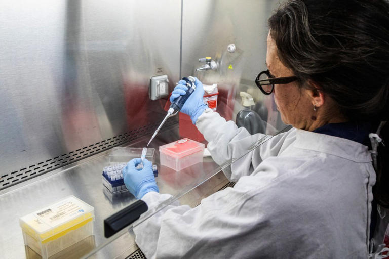 Key reason why hantavirus won’t turn into a COVID pandemic, according ...