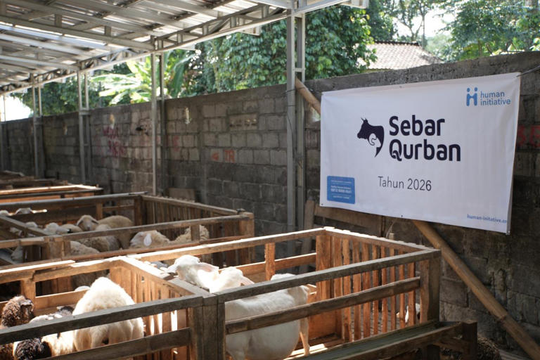 Program sebar qurban Human Initiative dikelola sesuai syariat & tepat ...
