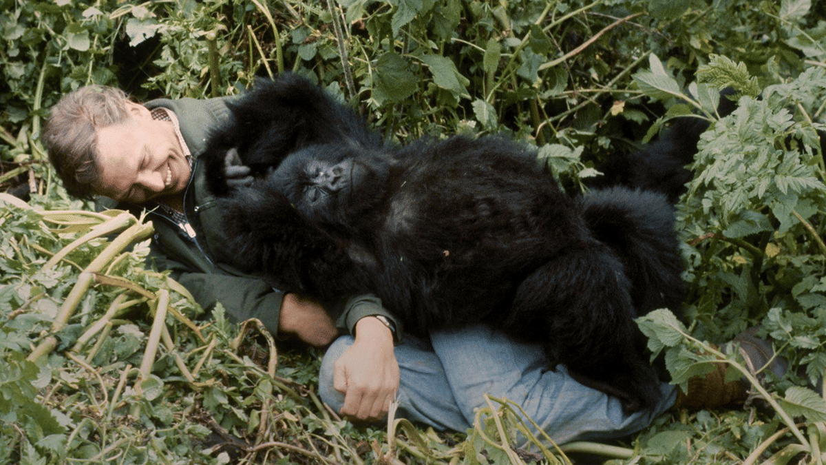 5 times David Attenborough changed how we see the world