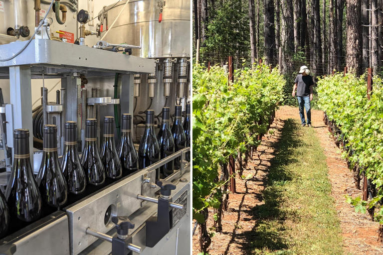 Napa Valley dispute grows after struggling winery launches ambitious ...