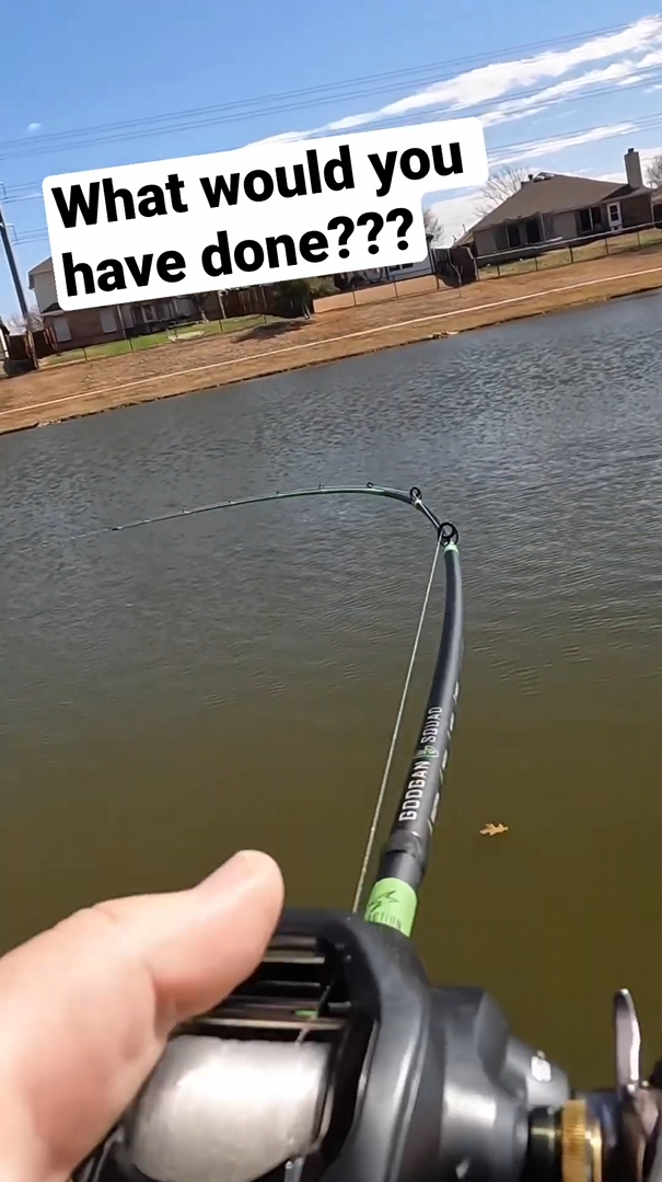 Worst thing I ever caught while fishing: unexpected line surprise