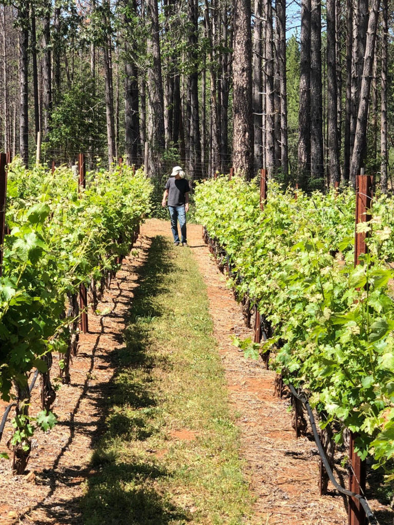 Napa Valley dispute grows after struggling winery launches ambitious ...