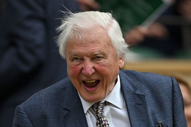 Sir David Attenborough celebrates his 100th birthday today - leave your ...