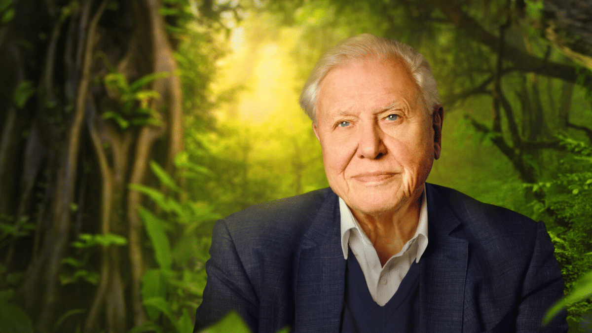 5 times David Attenborough changed how we see the world
