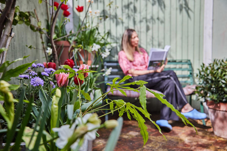 Spring into action: expert tips for getting into gardening