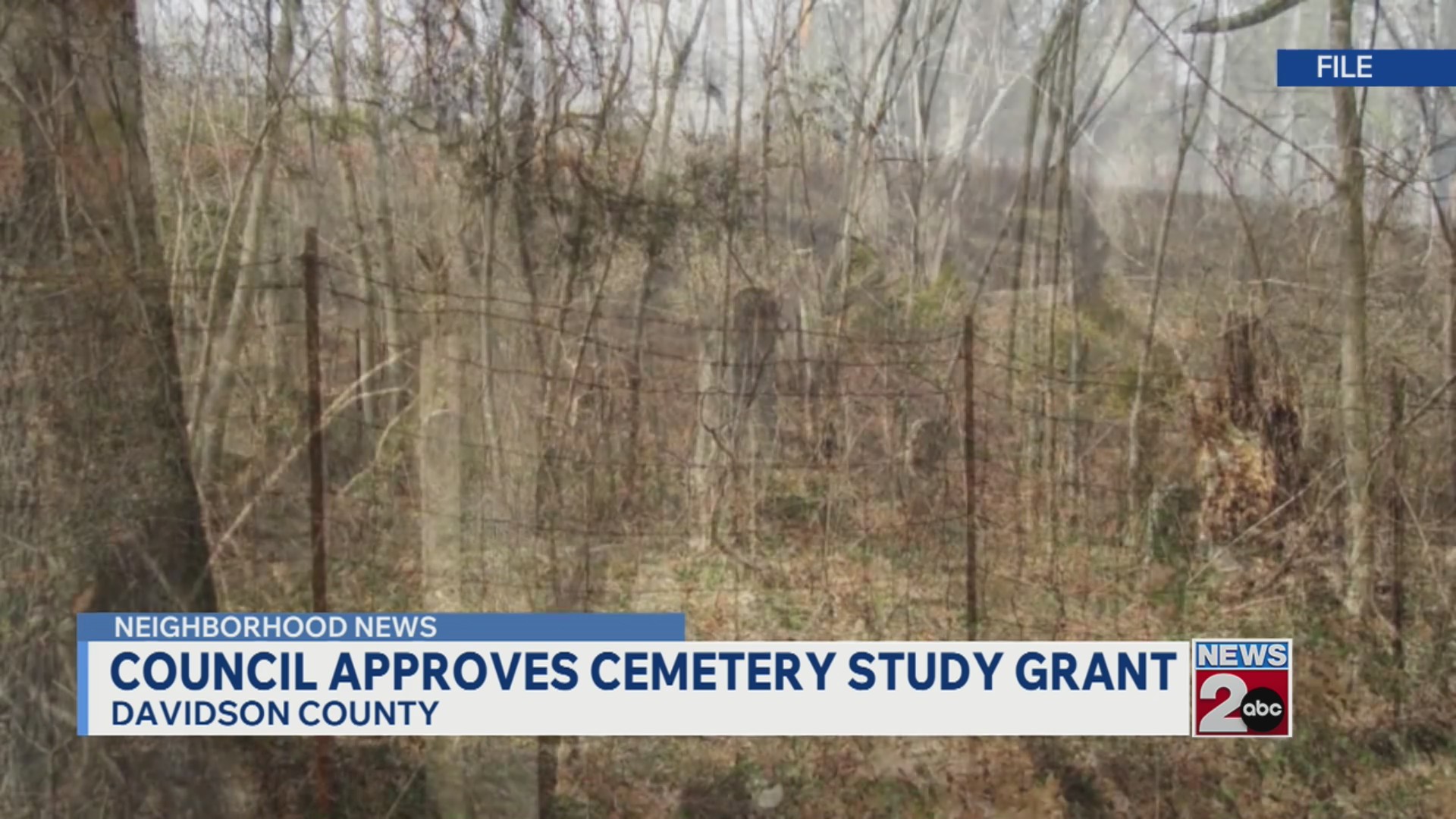 Council approves cemetery study grant