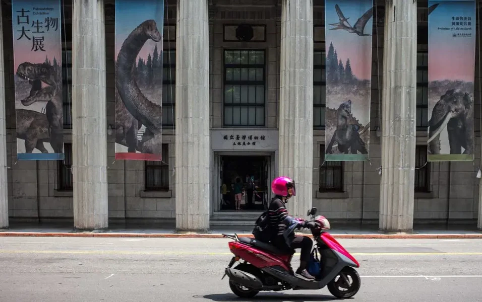 Fossil find reveals giant pythons once ruled Taiwan