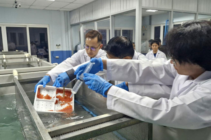 Fish farm study shows potential