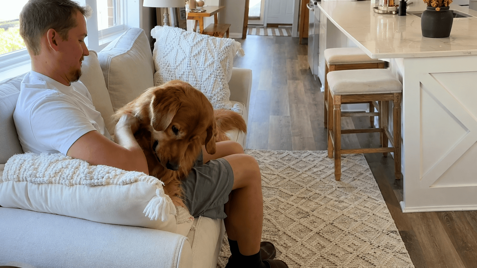 My dog forgot how big he is
