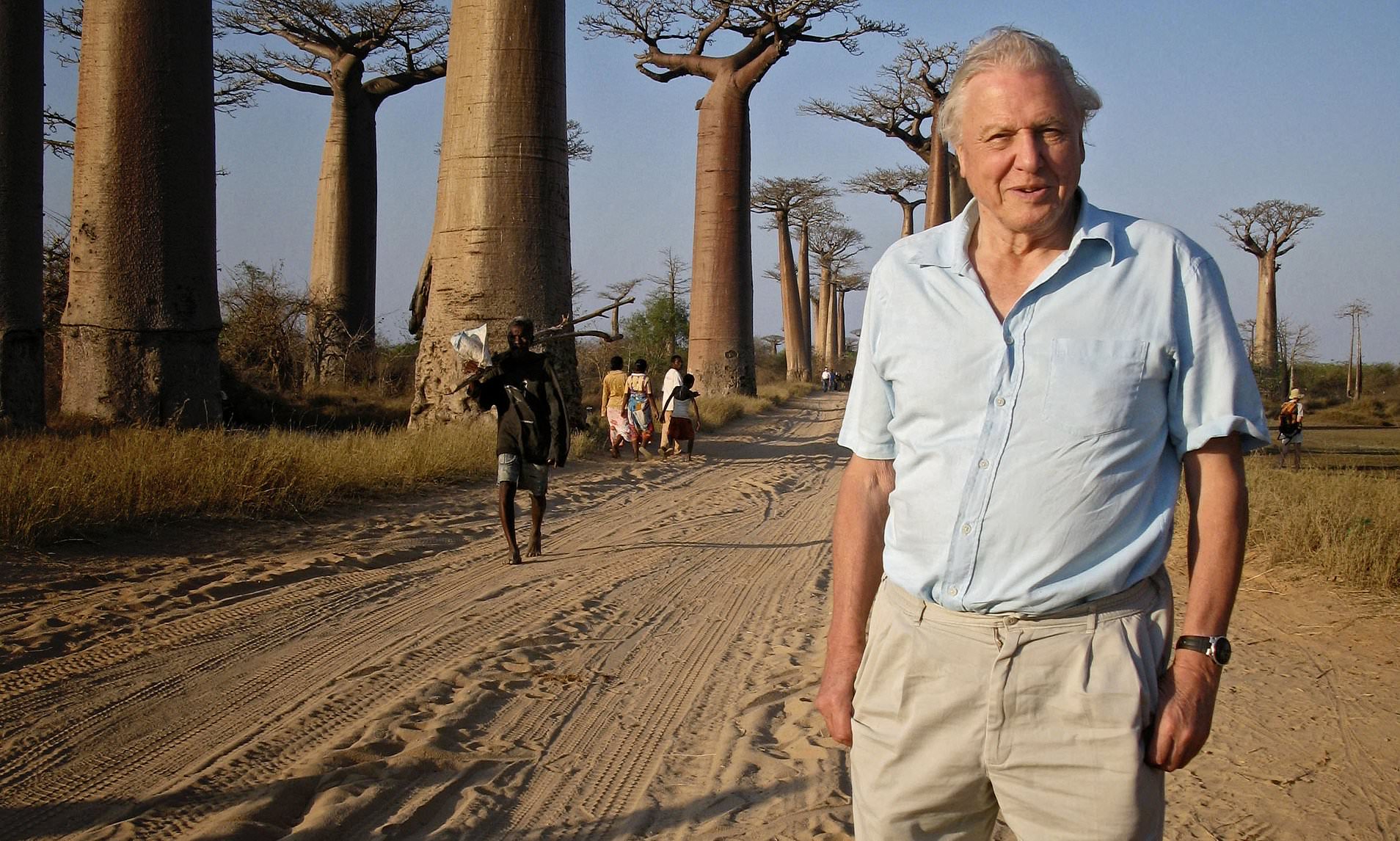 How to travel like David Attenborough - from Madagascan safaris to ...